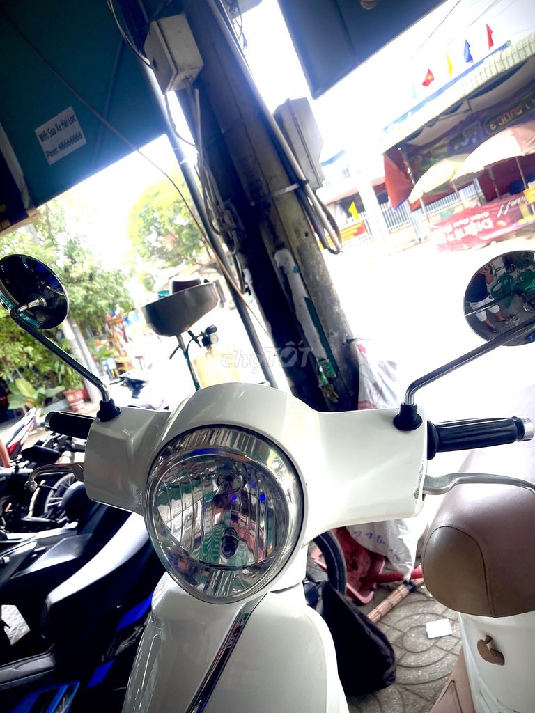 Xe Cọp - 129352527