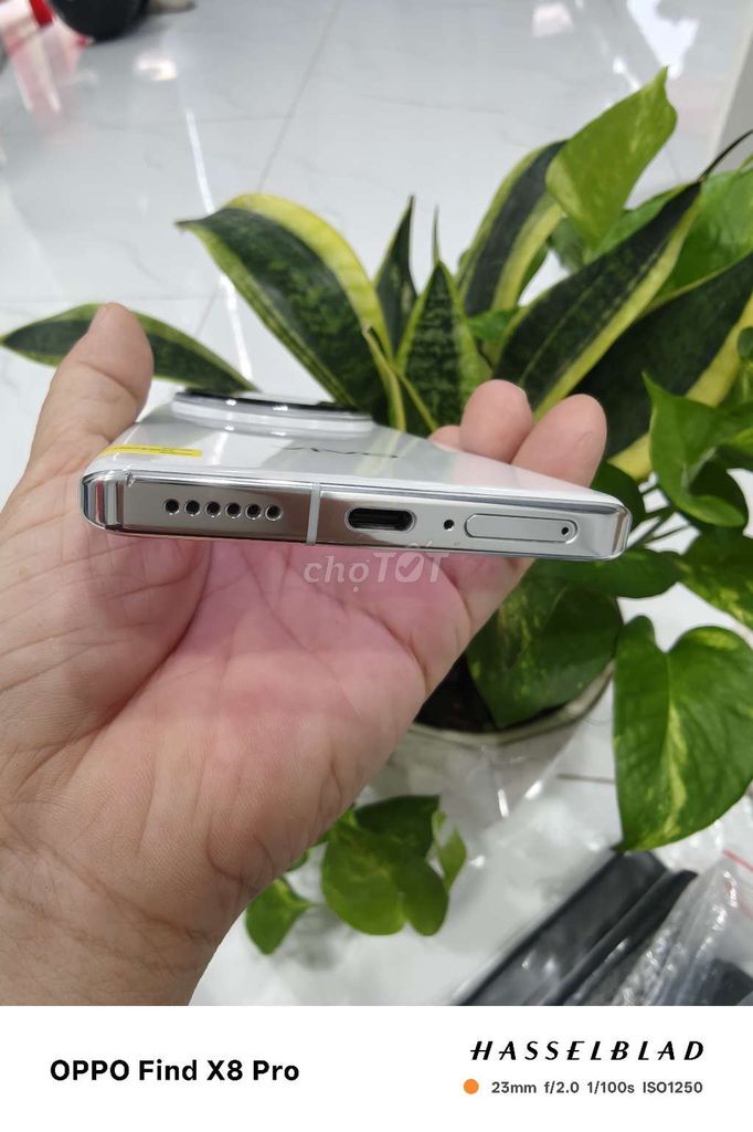 Vivo X100 Pro Trắng Dimensity 9300 - 129854940