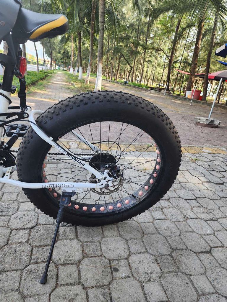 Mình cần bán lại xe đạp bánh béo ít đi còn tốt - 129963478