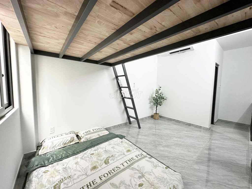 KHAI TRƯƠNG HƠN 40P. NGAY TÔ KÝ - Q12 - 124014914