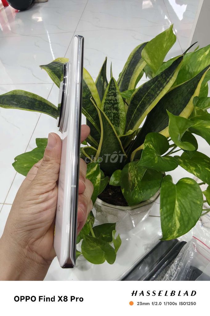 Vivo X100 Pro Trắng Dimensity 9300 - 129854940