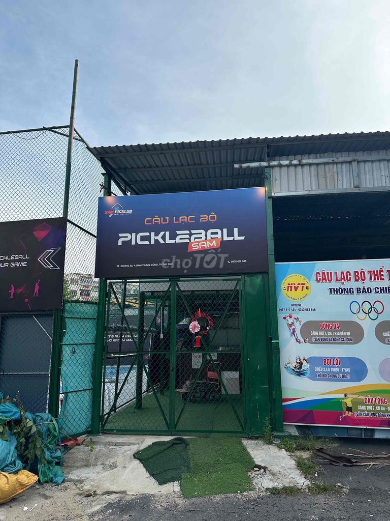 phuc vu pickleball - 129171791