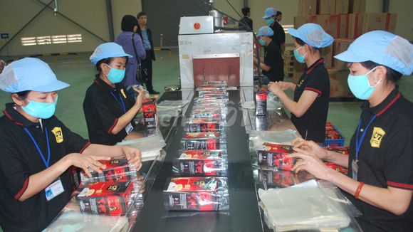 CÔNG VIỆC NGỒI LÀM ĐÓNG GÓI CÀ PHÊ - 128969767