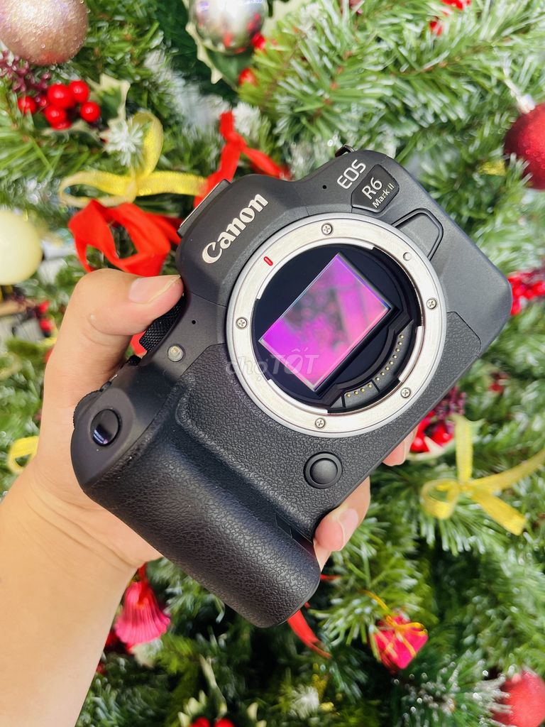 🔴 CANON EOS R6 MARK II (R62) BH12T - 112666486