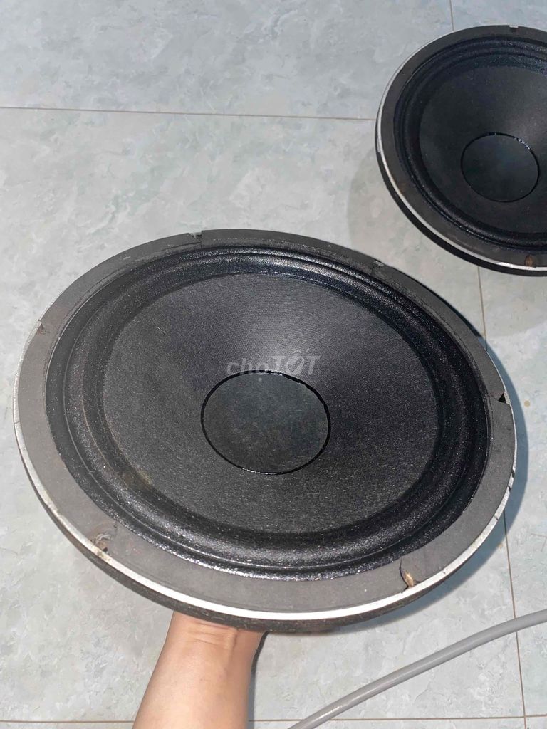 LOA BÃI BASS 25 tháo thùng - 130007144