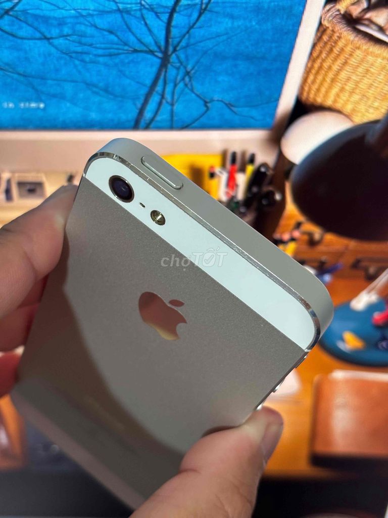 Apple iPhone 5 32GB Bạc VN/A - 129445260