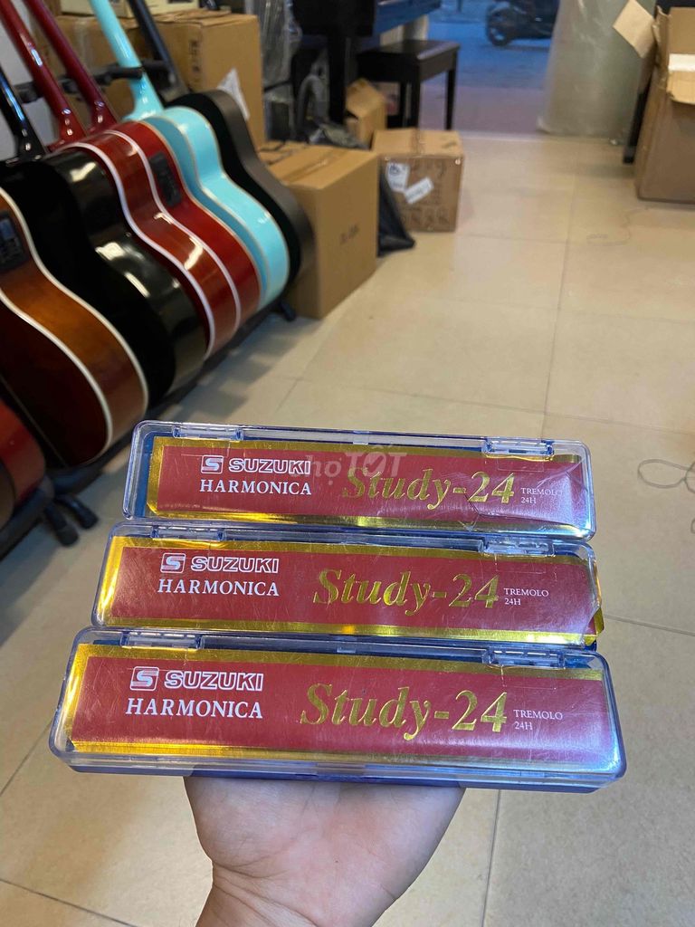 Kèn harmonica Suzuki Study-24 Tremolo 24H - 129904514