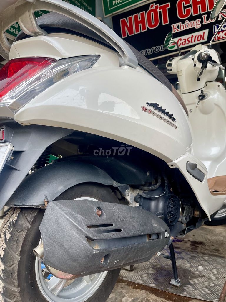 Xe Cọp - 129352527