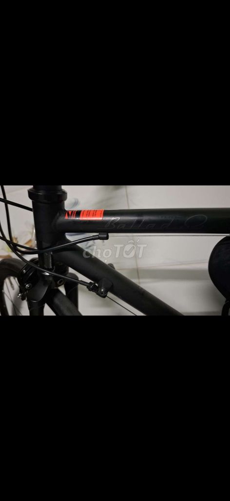 fuji ballad omega size 43 - 130102493