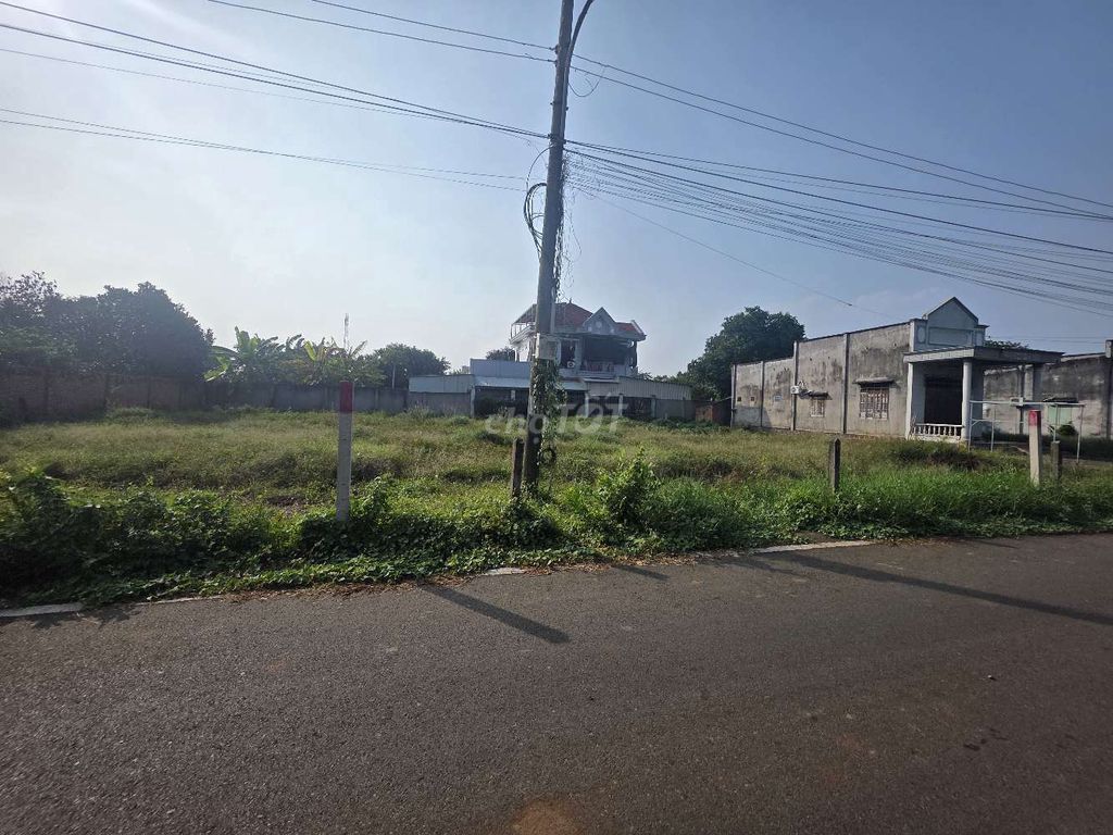 Đất Biệt Thự Trung Tâm - 129852643