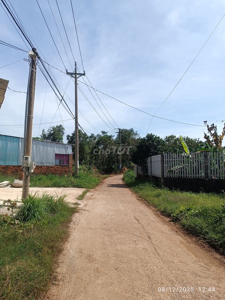 Đất ở 1 sào, 100m TC Xuân Trường 1.250t - 129550274