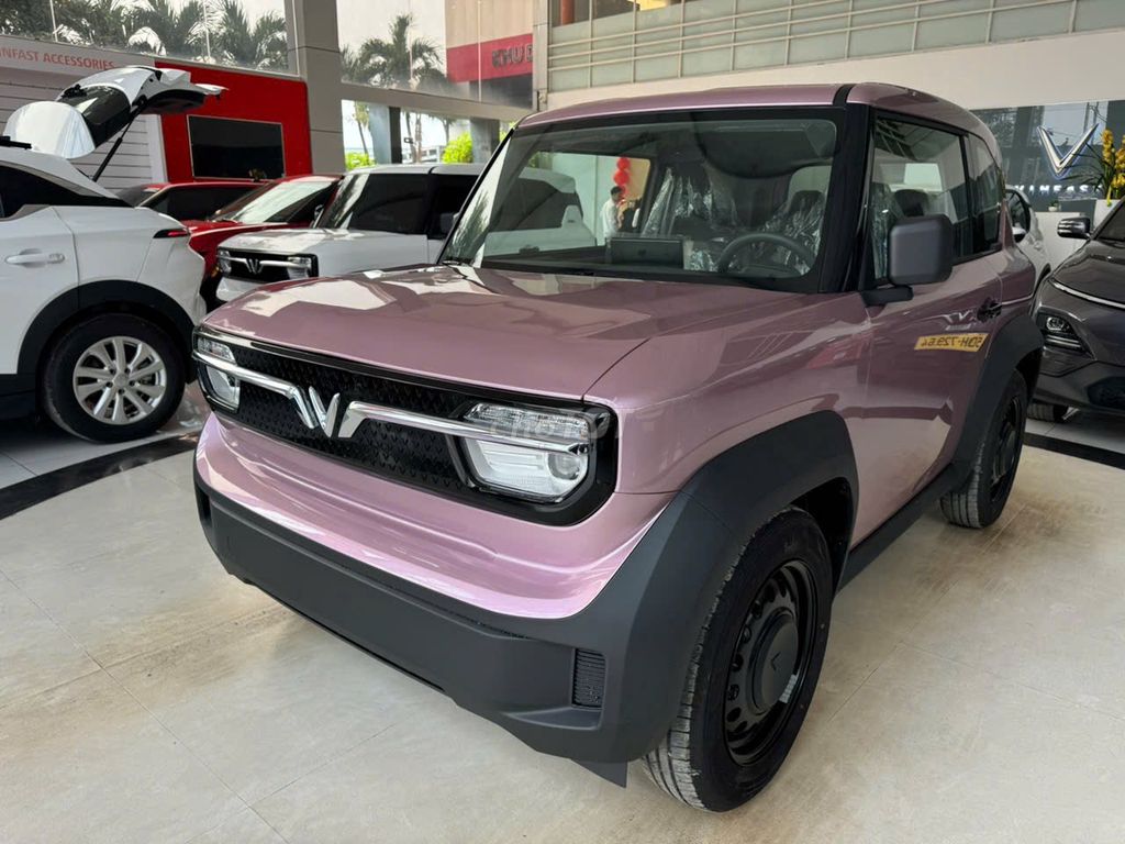 VF3, Hồng Tím, mới 100%, MUA PIN, chưa lăn bánh - 126929139