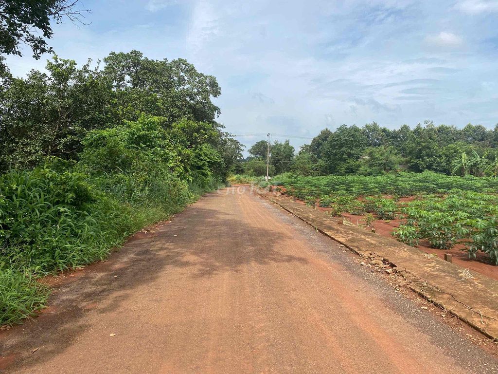 BÁN ĐẤT ĐƯỜNG NHỰA KHU PHỐ 3 HẮC DỊCH - GIÁ 8XX TRIỆU - 128846292