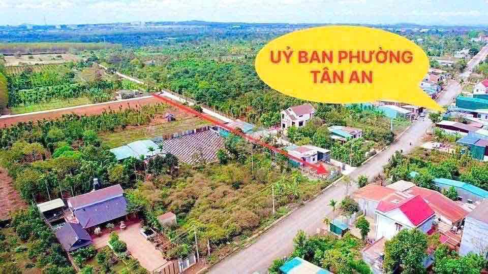 Còn Lô 1.090. Ngay UBND Phường Tân An - 130189871