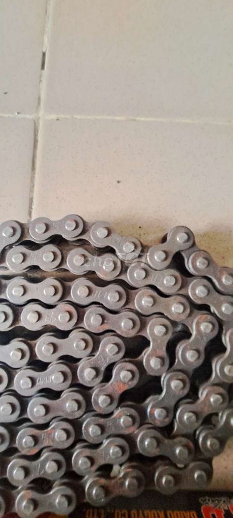 sên did nhật - 130002504