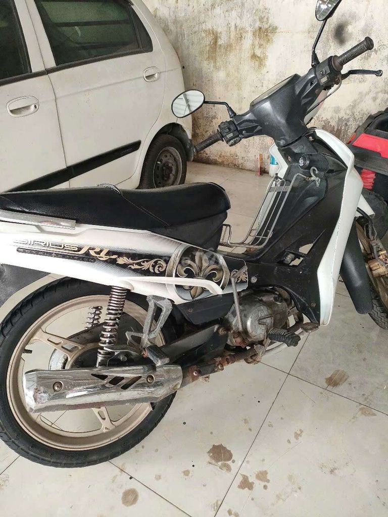 sirus nhật - 129037654