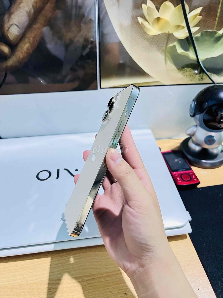 13PROMAX 256G vàng gold . quốc tế - 129998200