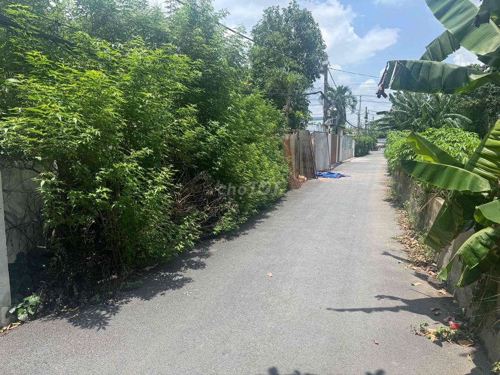 Bán Nhà cấp 4 Hẻm xe hơi 6m 1 trục thẳng ra QL13, cách QL13 chỉ 30m ...