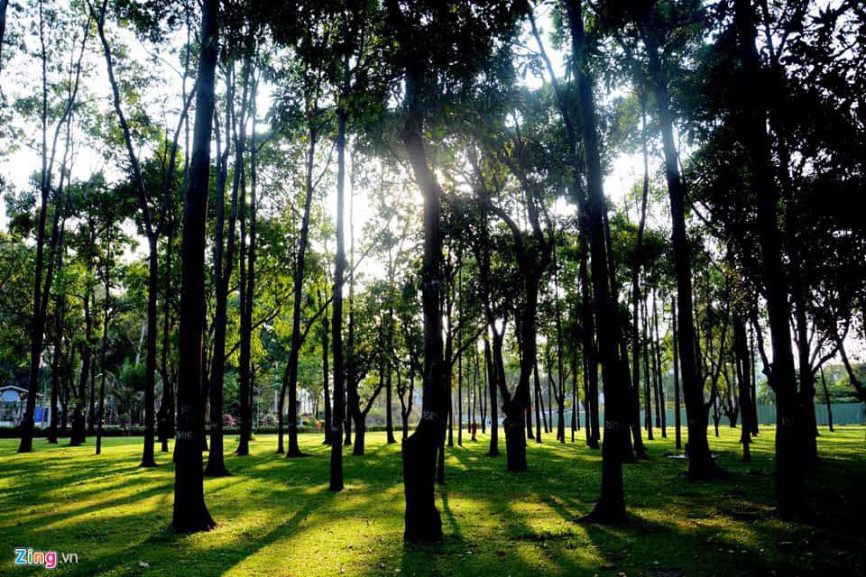 Huy Danh Shop - Chợ Tốt - Website Mua Bán, Rao Vặt Trực Tuyến Hàng Đầu ...