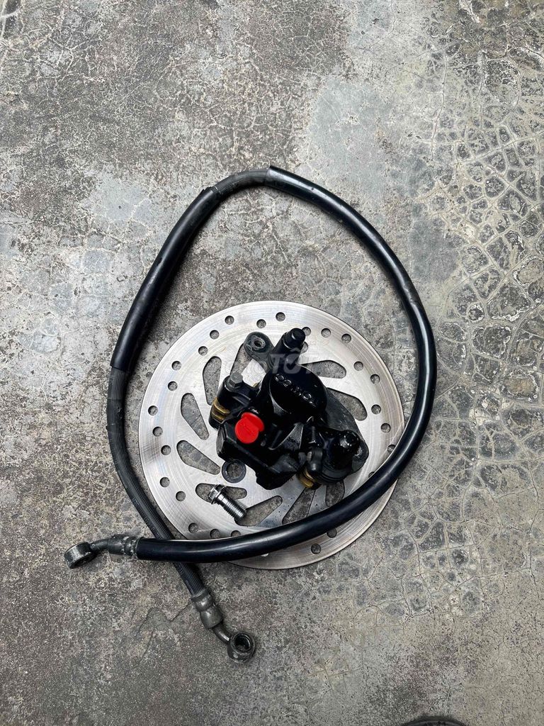 heo pat đĩa dây dầu vario - 130210673