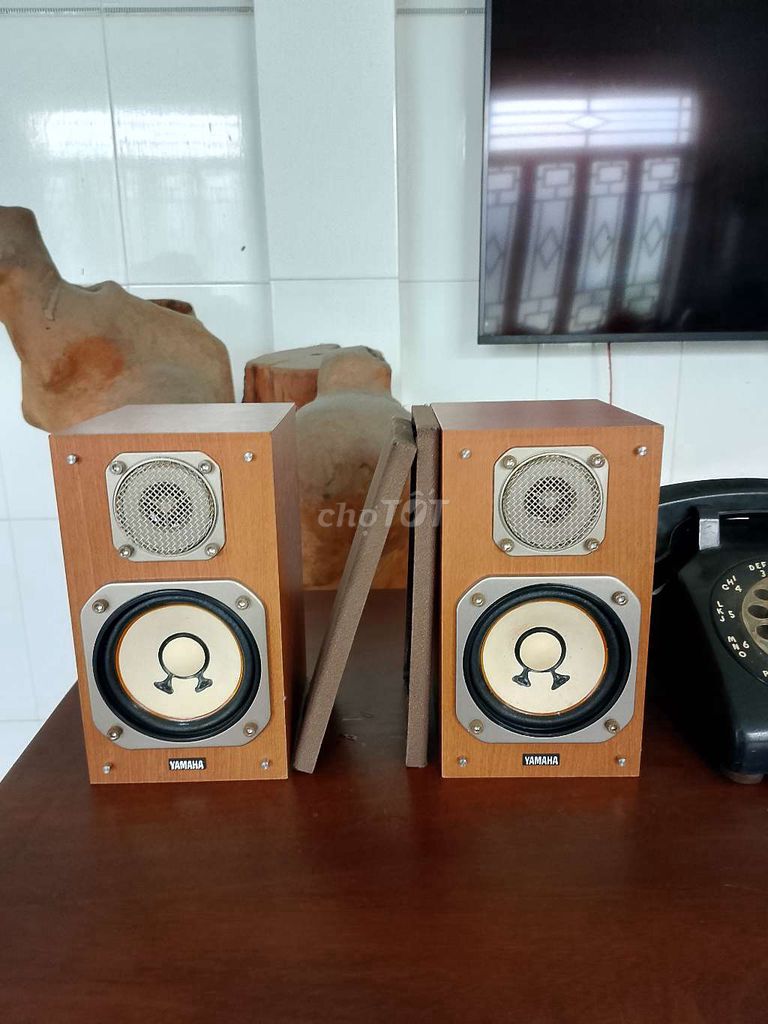 Loa Yamaha NS-10MM - 130235827