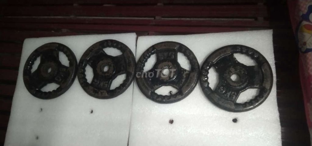 Tạ tập thể hình gang 32kg Đen - 129106900