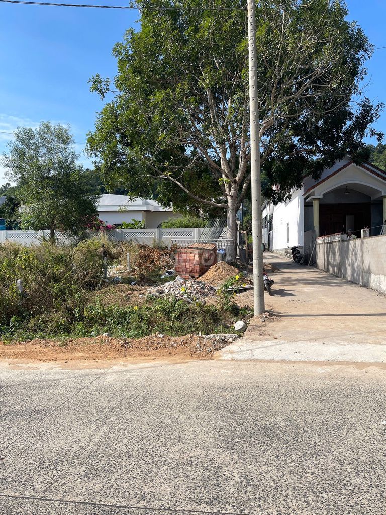 BÁN ĐẤT LÔ GÓC HAI MẶT TIỀN CÂY THÔNG NGOÀI GIÁ TỐT - 130285552