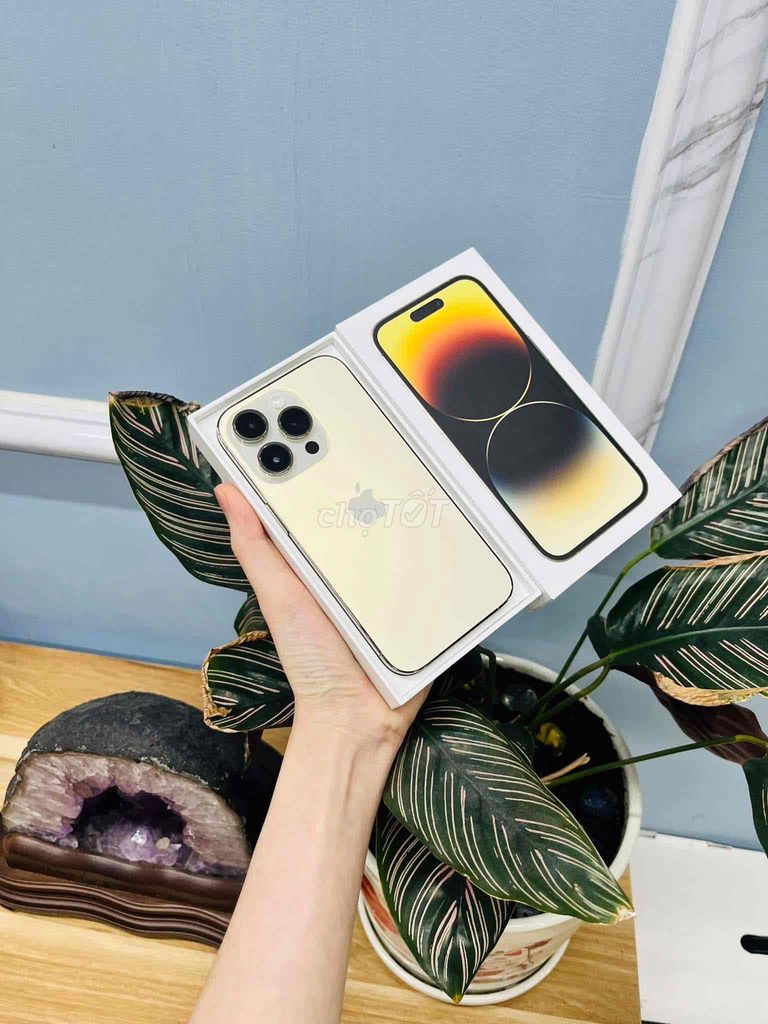 iPhone 14 Pro 128GB Gold FULLBOX APPLE 11/2024 - 125145811