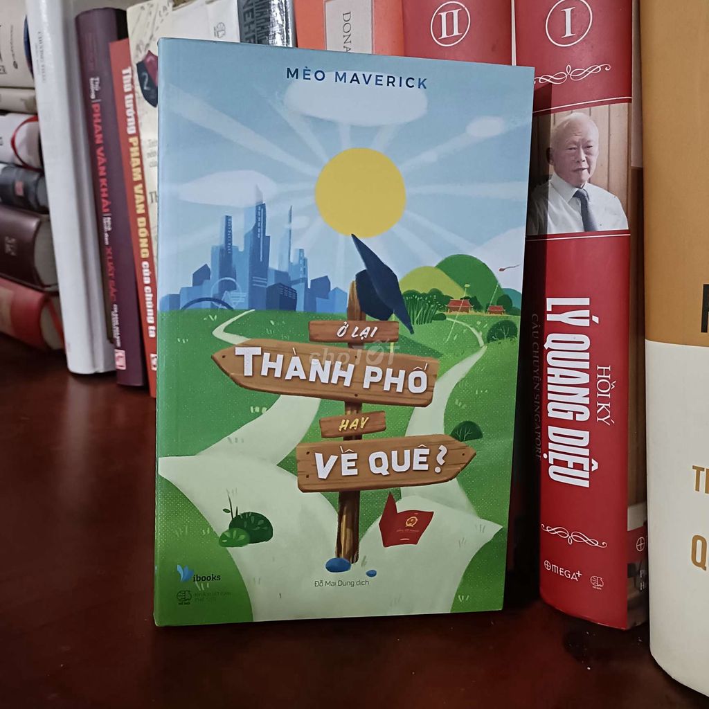 Ở lại thành phố hay về quê - Mèo Maverick - 125914530