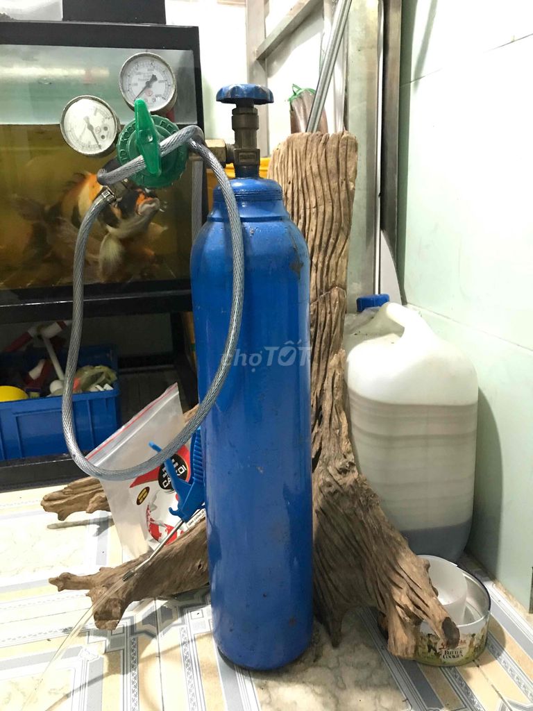 Bình oxy hồ cá Xanh - 132714858