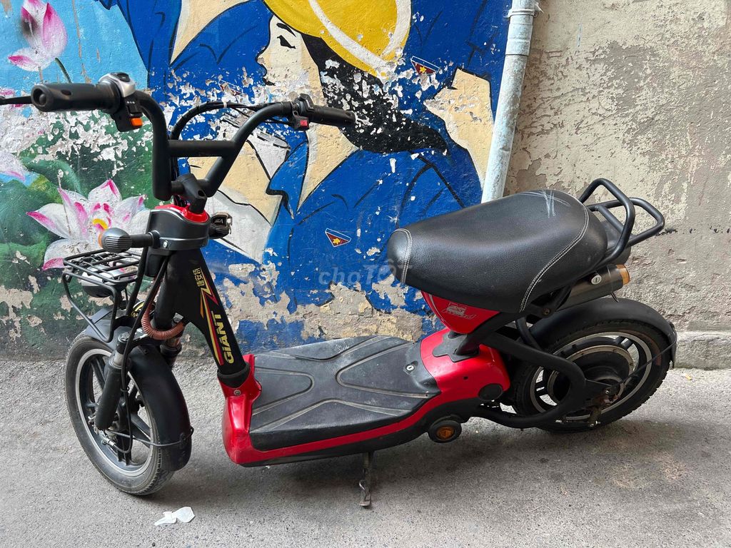 Thừa xe cần bán xe điện giant - 129920655