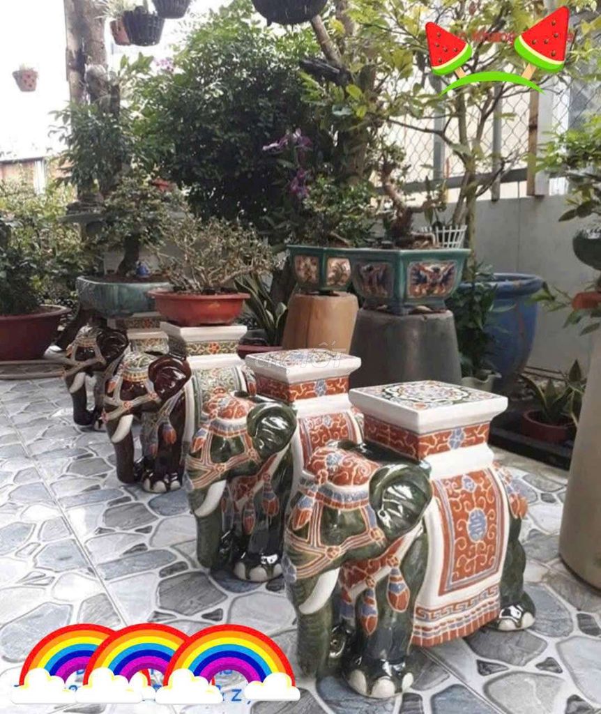 Đôn voi kê chậu - 130225840