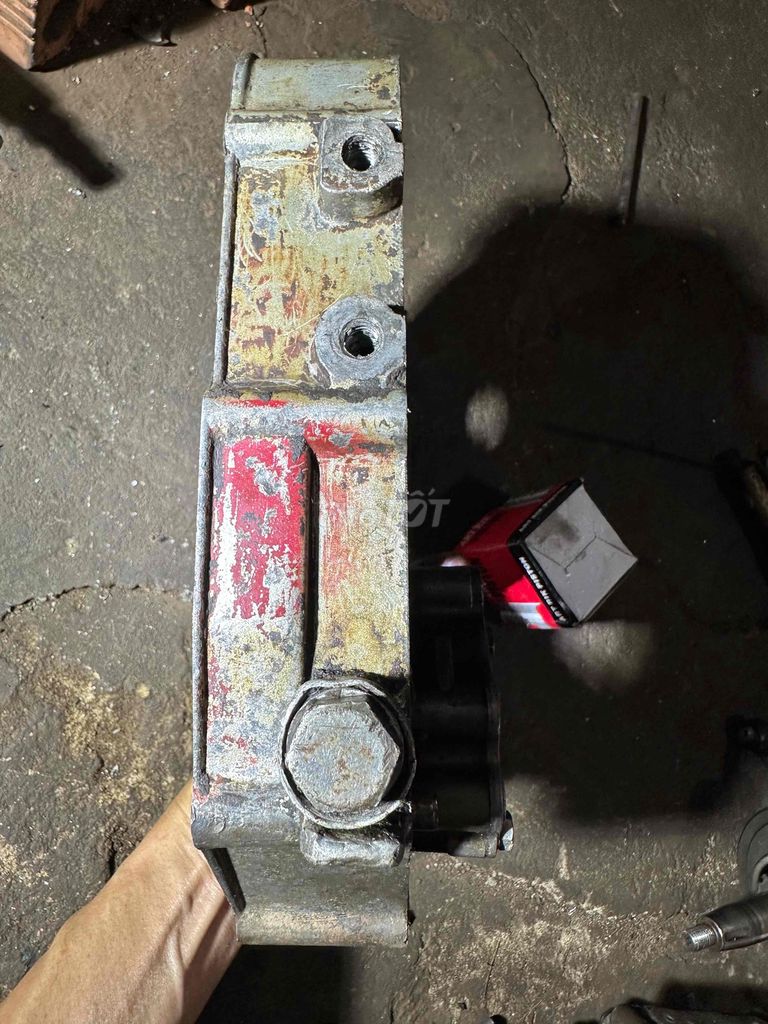 lóc dên lớn 110 cánh chim - 129817931