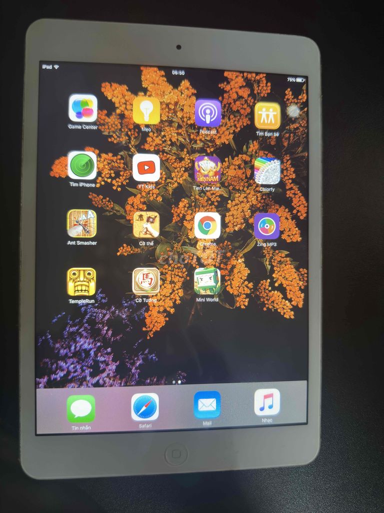 iPad Mini 16GB Bạc, iOS 9.3.6 - 128280929