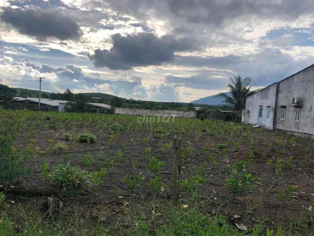 Cần bán hơn 3 sào đất CLN có sẵn 300m2 thổ cư - 129285043