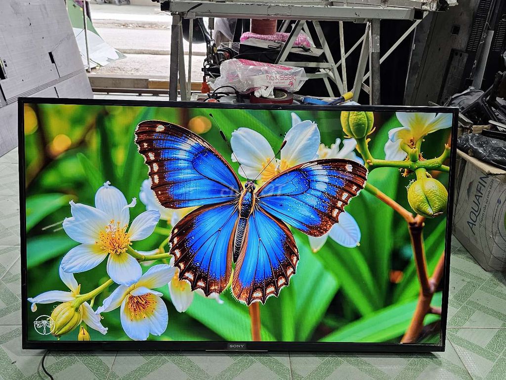Lô 30 Cái Sony 2K 43 inch - 43W800C. Siêu Đẹp 98% - 127556198