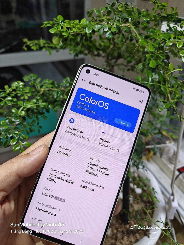 Reno 8Pro 5G R12+256, Snap7Gen1,NFC,2s,Pin5000, T9 - 127477920