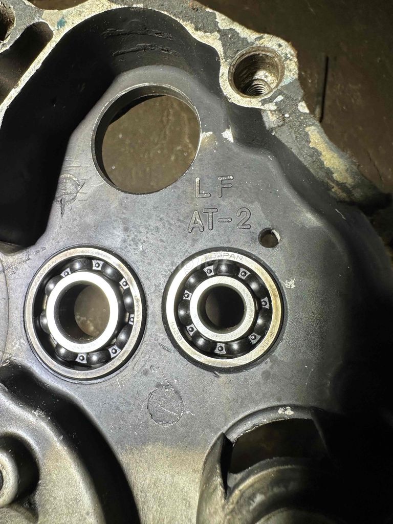 lóc dên lớn 110 cánh chim - 129817931