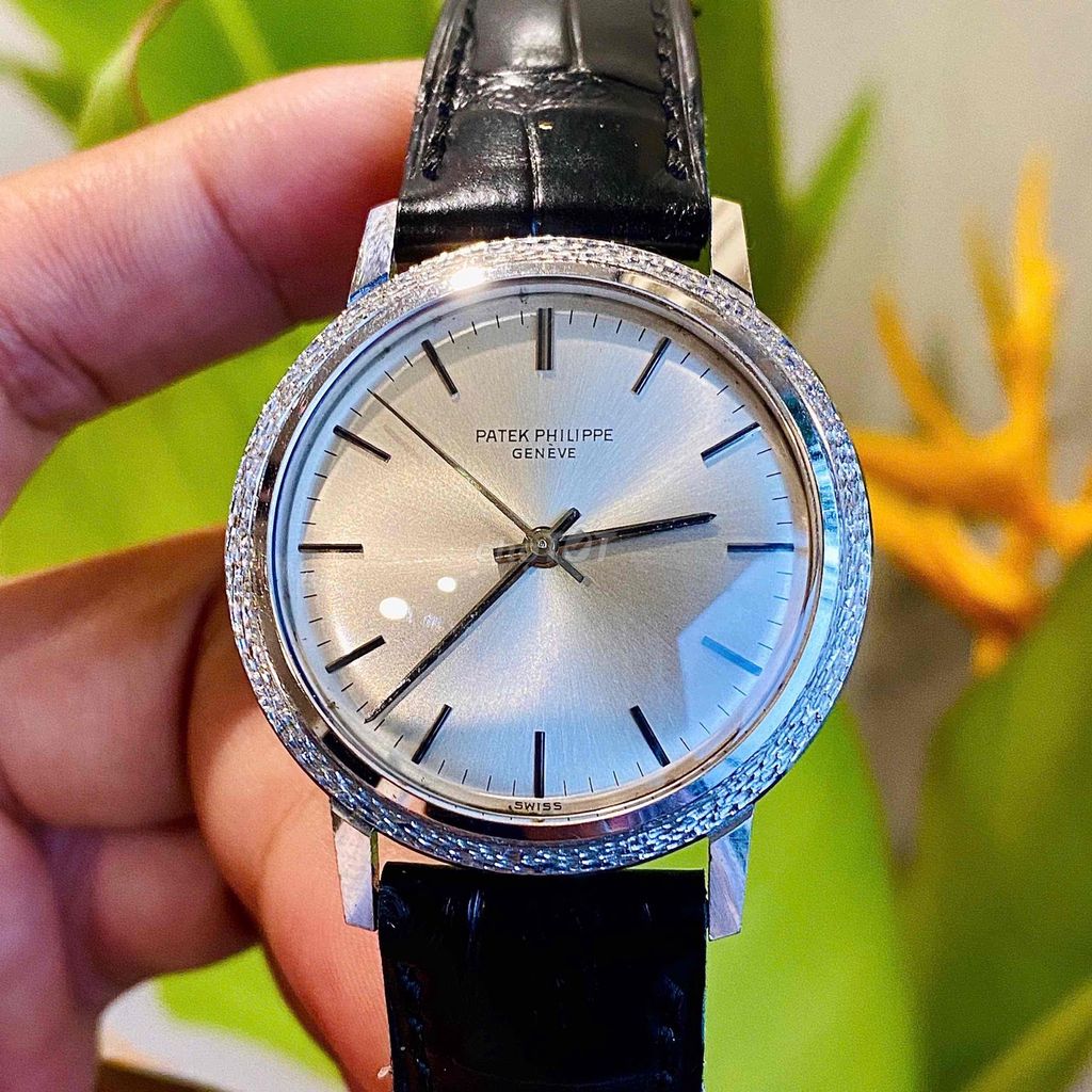 đh PATEK PHILIPPE Calatrava 3569 núm vặn đặc trưng - 128111176