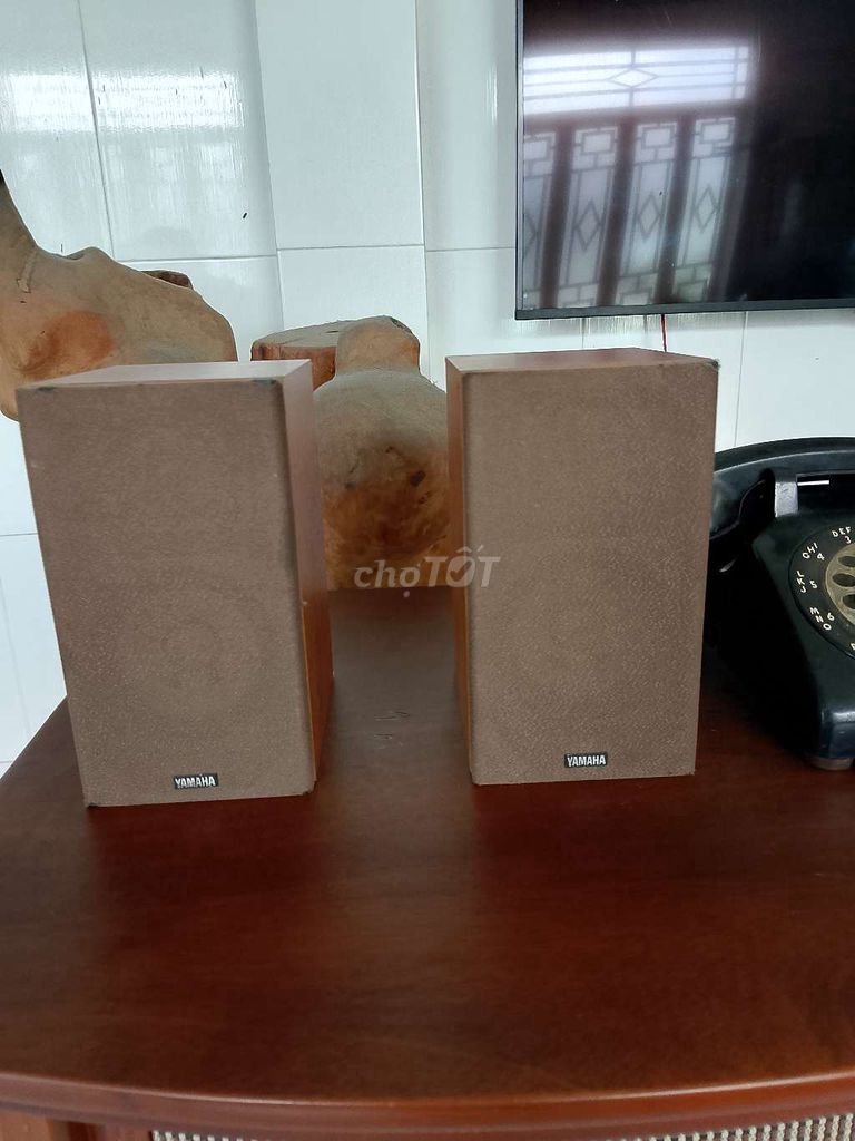 Loa Yamaha NS-10MM - 130235827