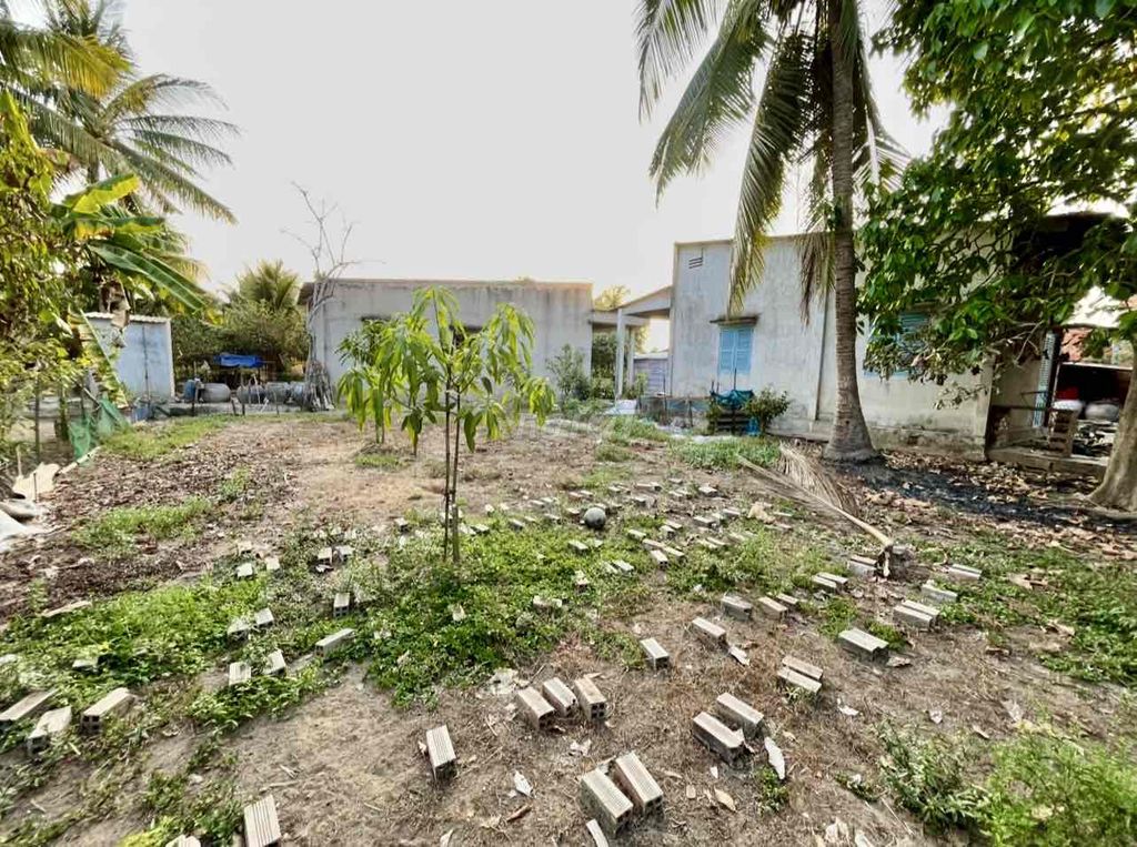 Cần bán đất vườn trồng cây lâu năm – vị trí đẹp tại Mỹ Tho 🌱 👉 Diện t ...