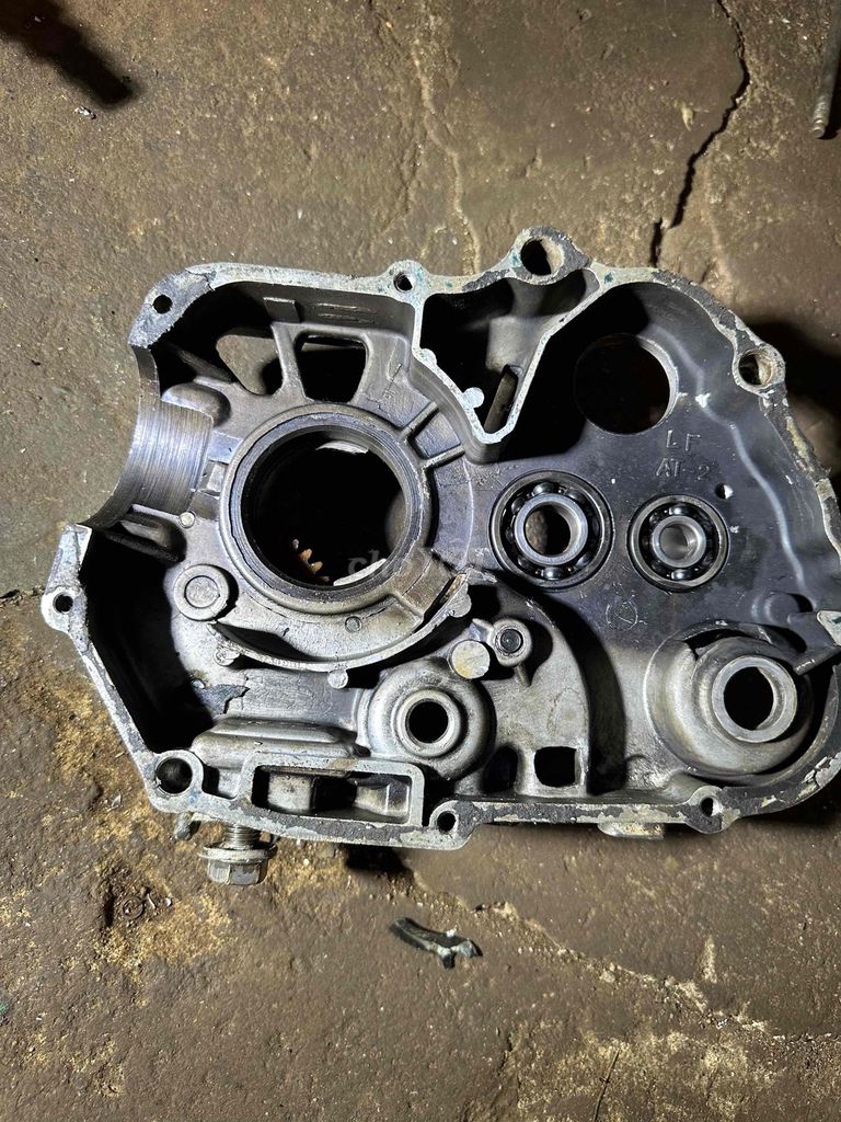 lóc dên lớn 110 cánh chim - 129817931